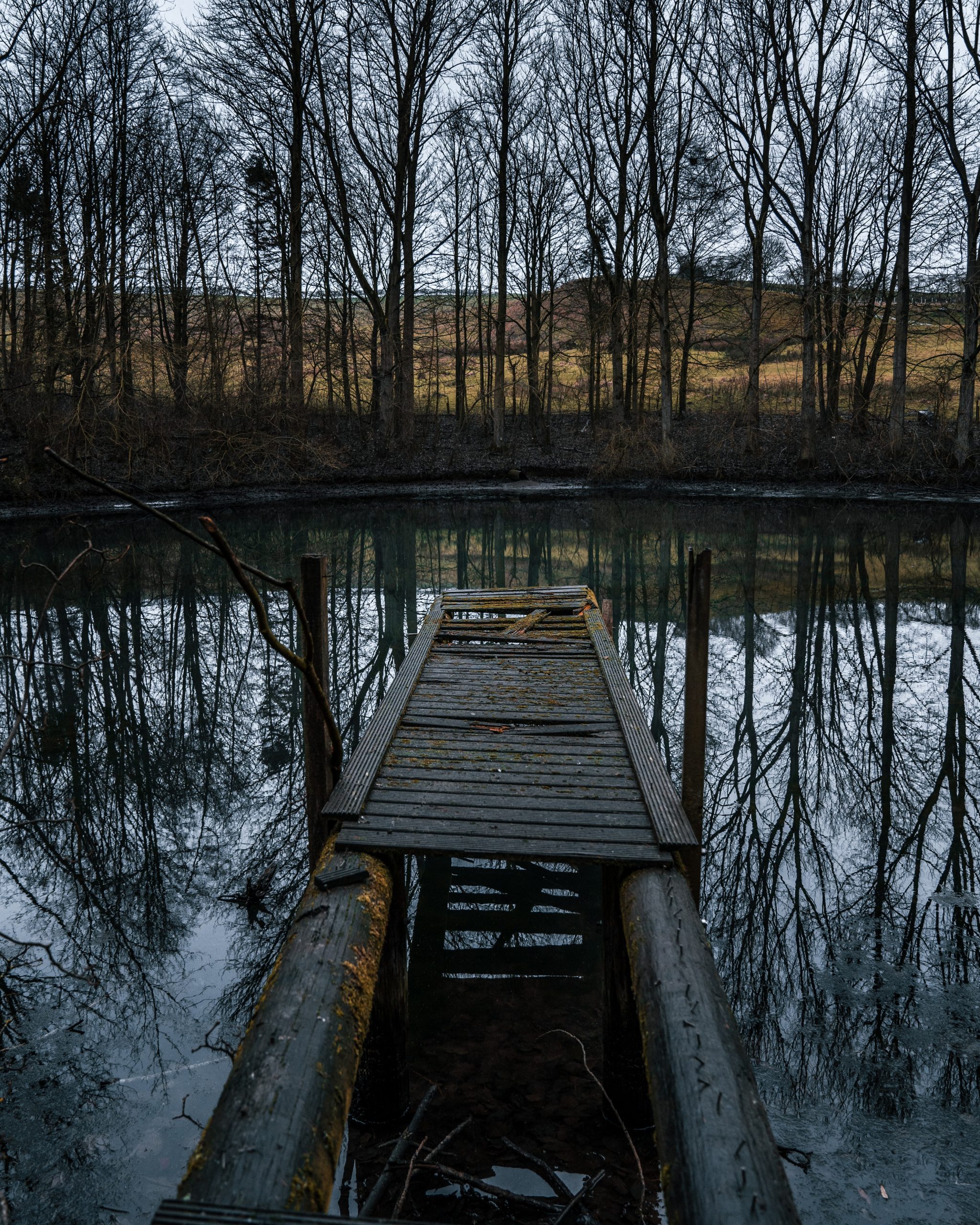 Tom Life Insurance Review 2025 » Read Before Buying